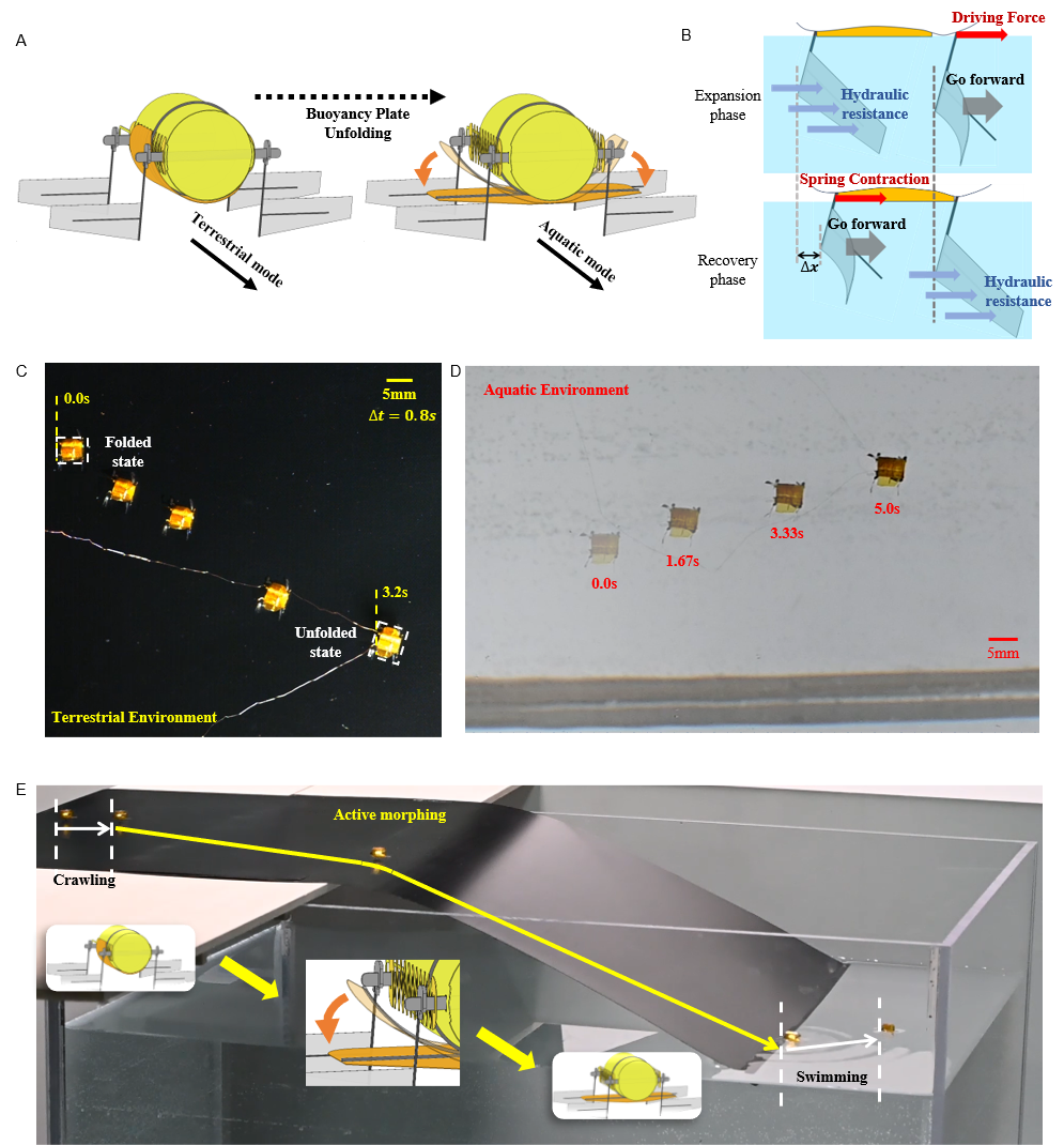 Beihang students publish groundbreaking research on active-morphing ...