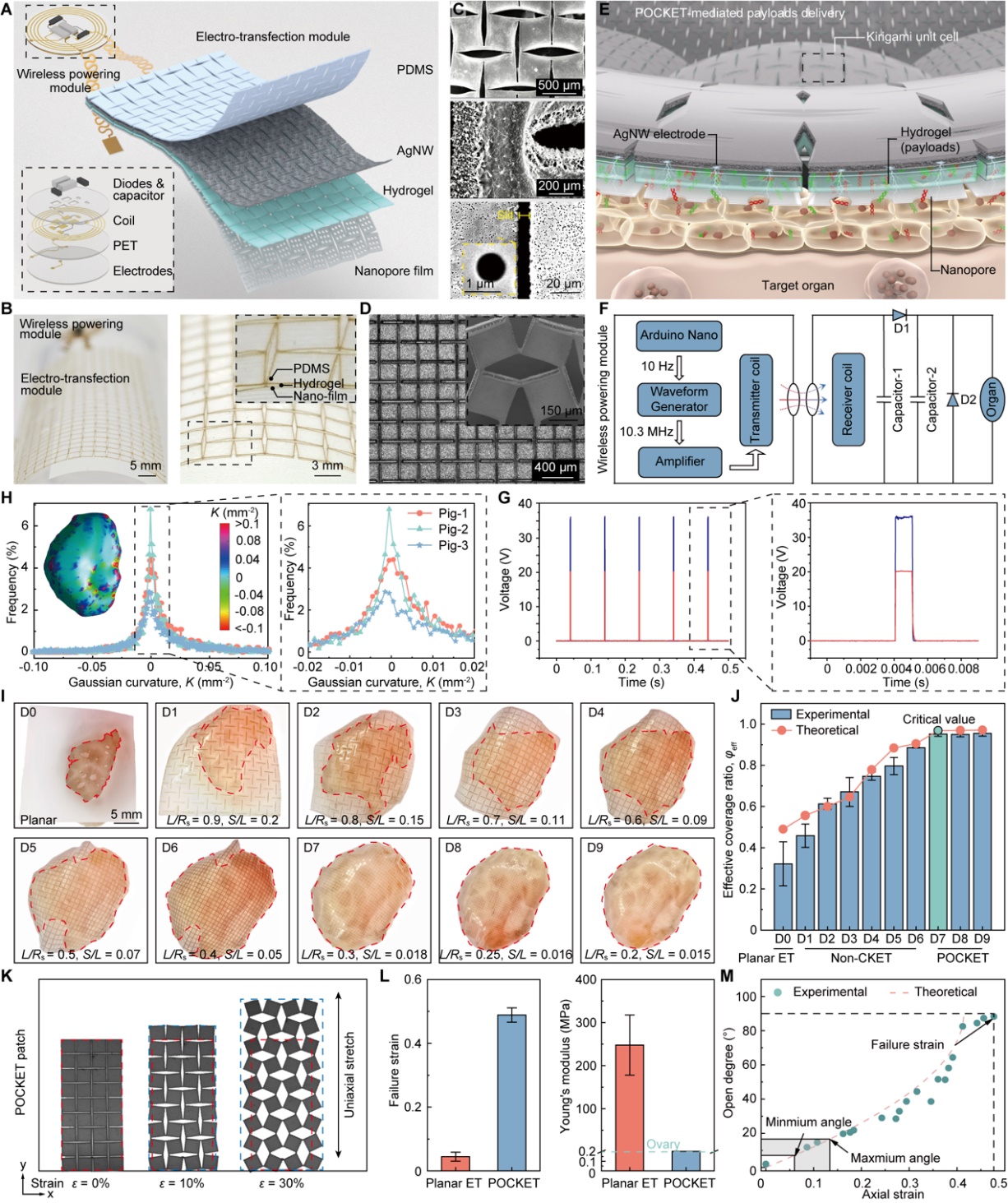 Kirigami-inspired bioelectronics: Beihang team reports in Cell on ...
