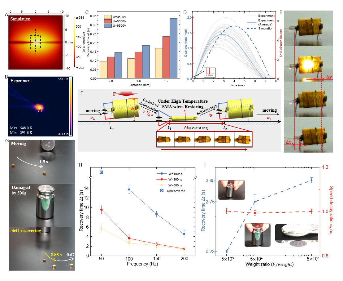 Beihang students publish groundbreaking research on active-morphing ...