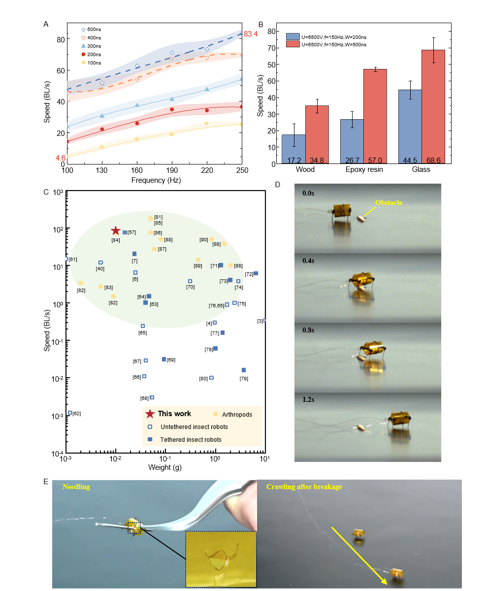 Beihang students publish groundbreaking research on active-morphing ...