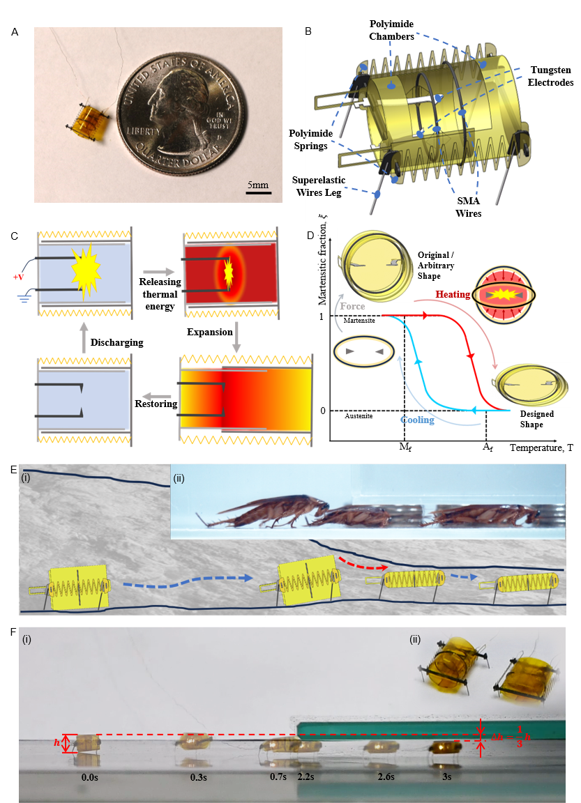 Beihang students publish groundbreaking research on active-morphing ...